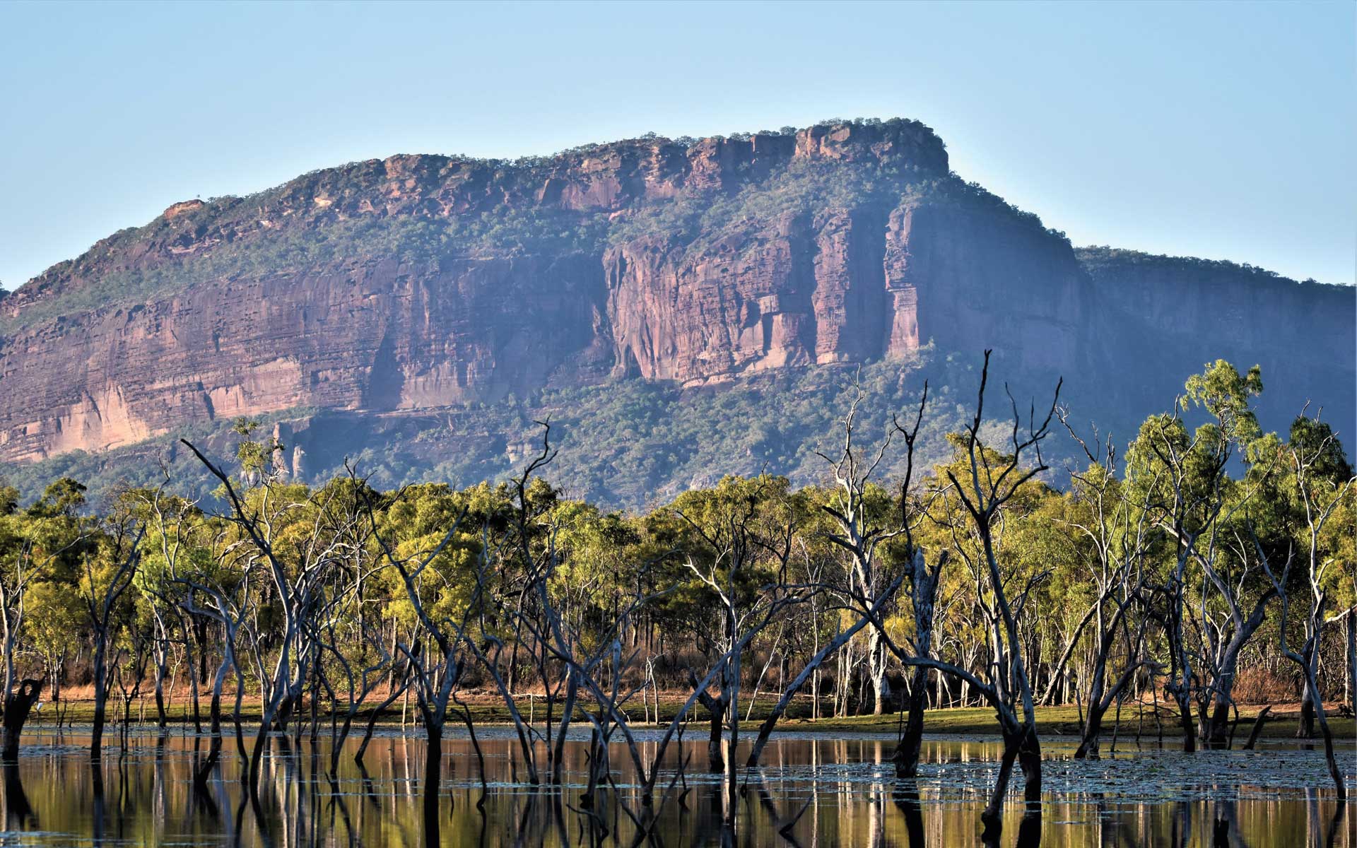 Ngarrabullgan - 230 Million Years In the Making
