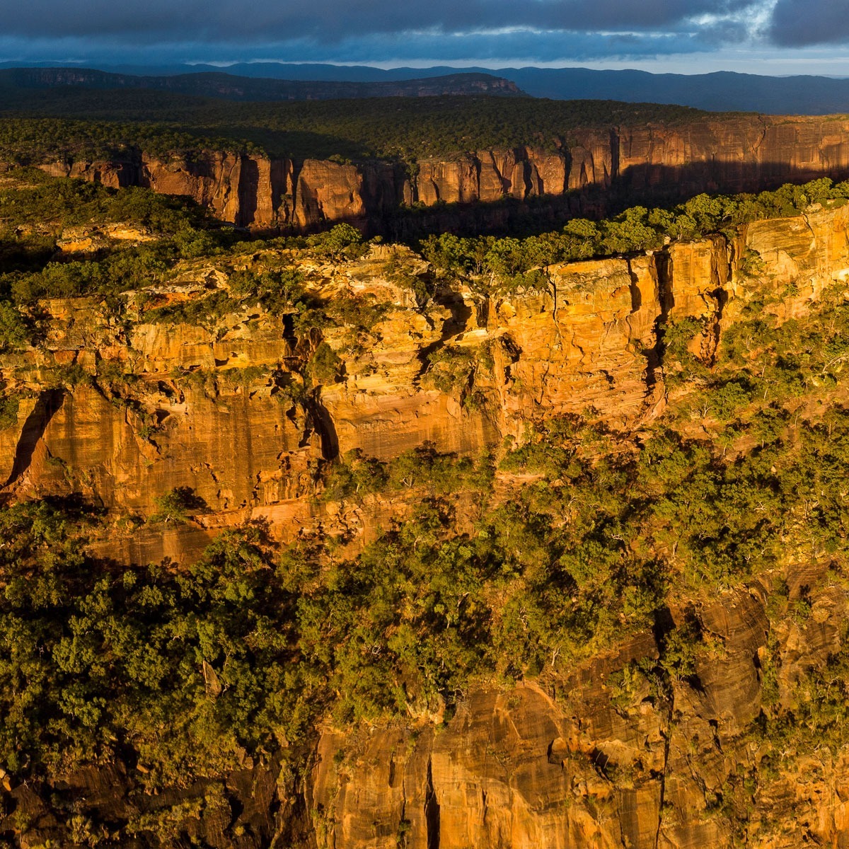 Fact - Ngarrabullgan