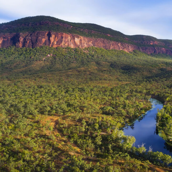 Ngarrabullgan - 230 Million Years In the Making